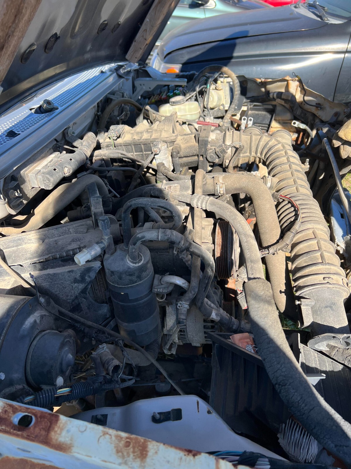 2004 Ford Ranger Engine | OE
