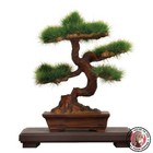 NEW Platz BON-04 1/12 The Bonsai (Plastic Model) | eBay Australia