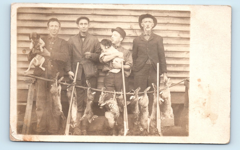 RPPC Hunters Dog Shotgun Rabbit Real Photo Postcard | eBay