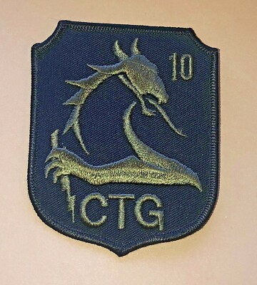 CTG Blue Dragon Patch - New Jersey State Prison Competitive Tactical ...