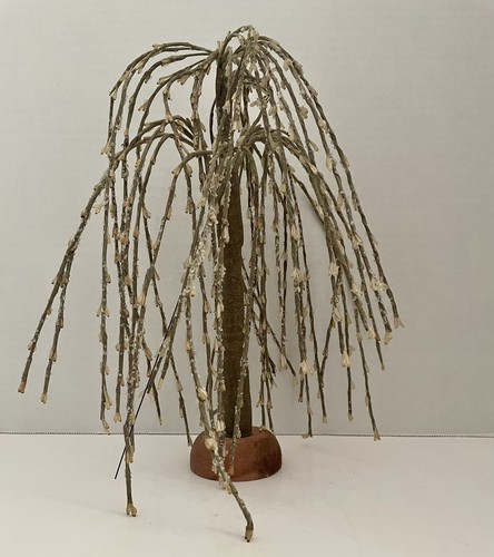 Primitive Weeping Willow Pipe Berry Tree 12” | eBay