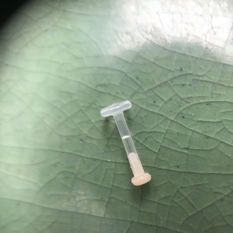 18G (1mm) 1/4" inch (6mm) INTERNAL BIOPLAST LABRET MADONNA RETAINER ...