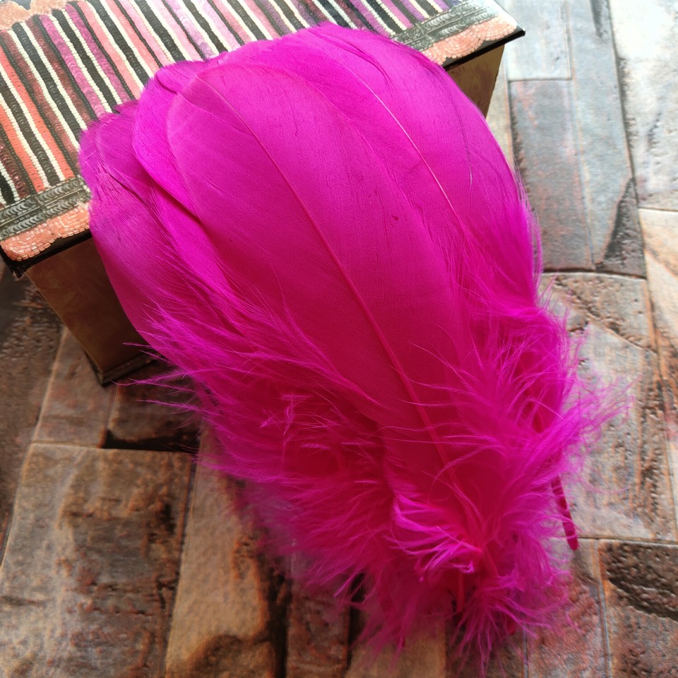 Wholesale 20-100 Pcs Pretty Natural Goose Feathers 12-18 cm/5-7 inches ...