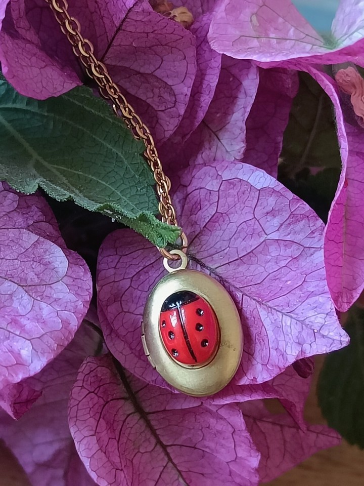 N.O.S Vintage ladybug necklace, lucky ladybug locket necklace, gold ...