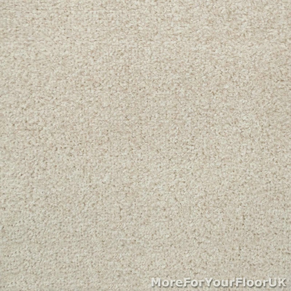 Cream Carpet Twist Loop Saxony Lounge Bedroom Hardwearing CHEAP Carpet ...
