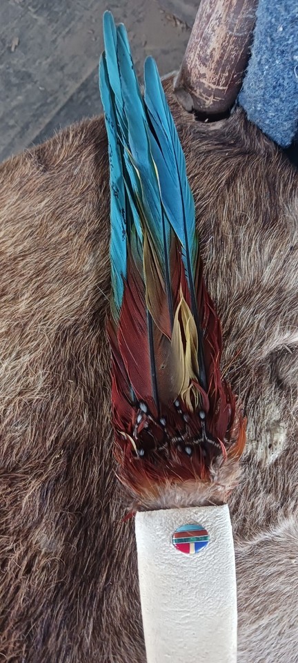 **AWESOME NATIVE AMERICAN CEREMONY SMUDGE PRAYER FAN MACAW 1970s NICE ...