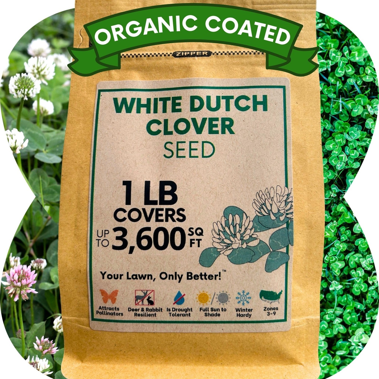 Flawn White Dutch Clover Seed, 1 Lb, Organic, Natural Lawn & Food Plot ...