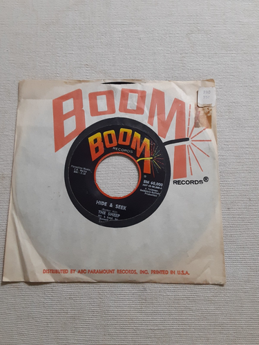 THE SHEEP - HIDE & SEEK BOOM 45 | eBay