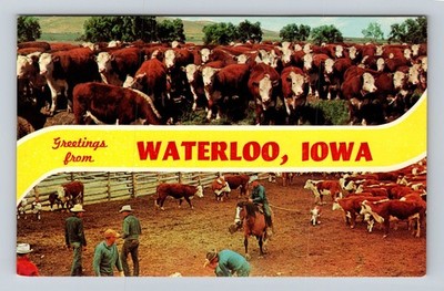 Waterloo IA-Iowa General Banner Greetings Vintage Postcard Standard ...