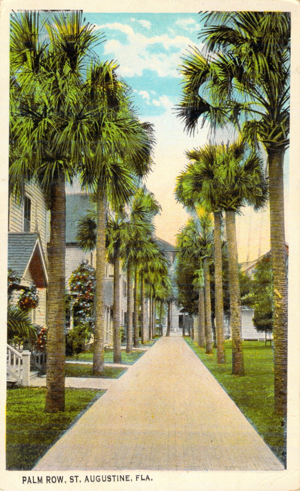Palm Row, St. Augustine Florida- 1924 Antique Postcard M12 | eBay