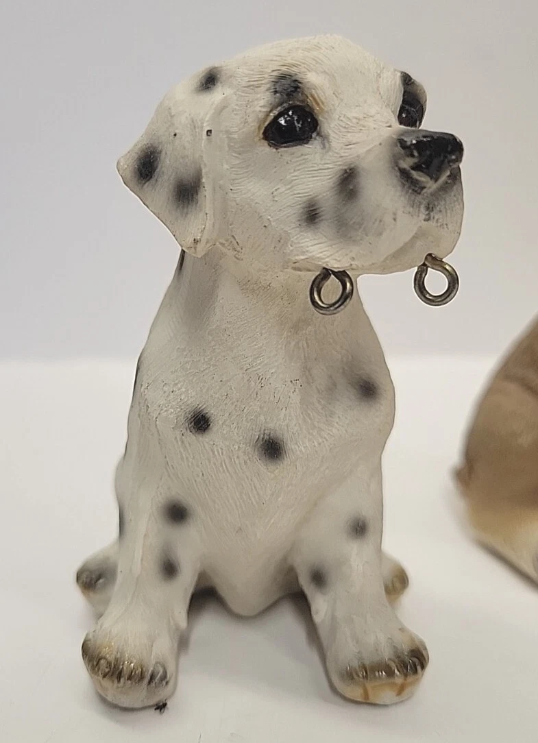 Boxer Dalmation Mix Puppies