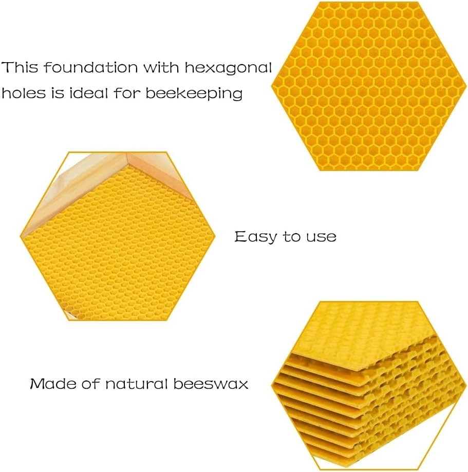 Beehive Waxed Coated Foundation Sheet 20pcs Beeswax Sheets 5-5/8-Inch ...