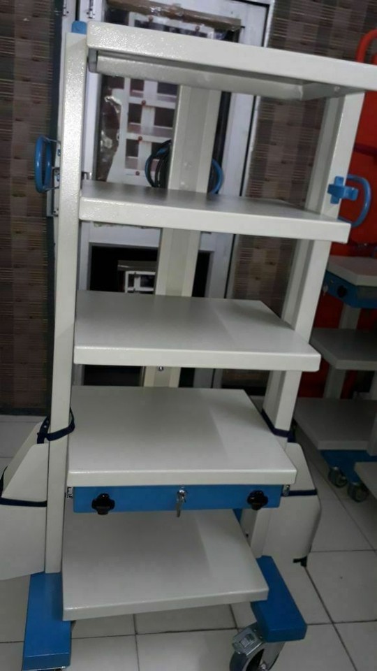 Laparoscopic Laparoscopy Endoscopy Trolly Tower Mobile Workstation 5 ...