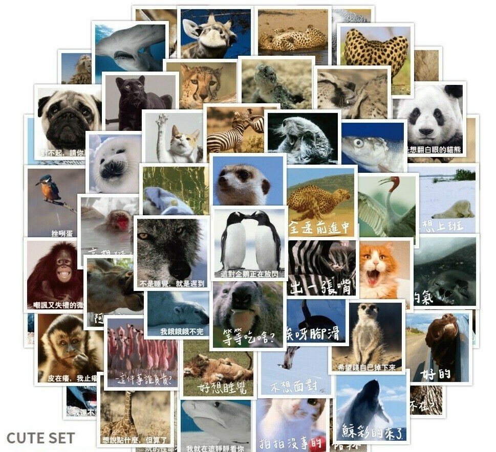 20 Cute Animal Face Expressions etc Stickers Laptop / Skateboard / PC'S ...