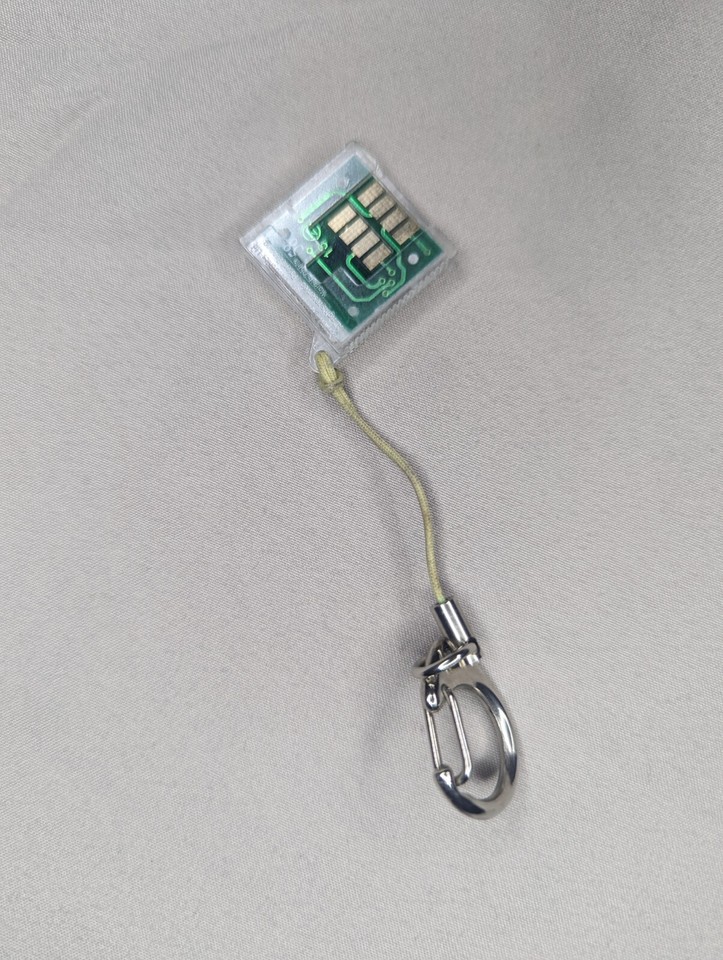 Hit Clips Toya I Do Tiger Hit Clips For Music Player | eBay