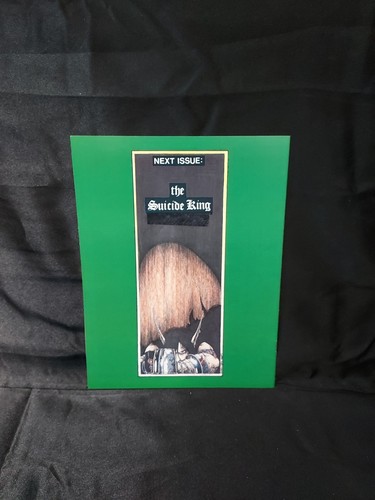 POISON ELVES #9 (1993) - HI GRADE - MULEHIDE GRAPHICS DREW HAYES ...