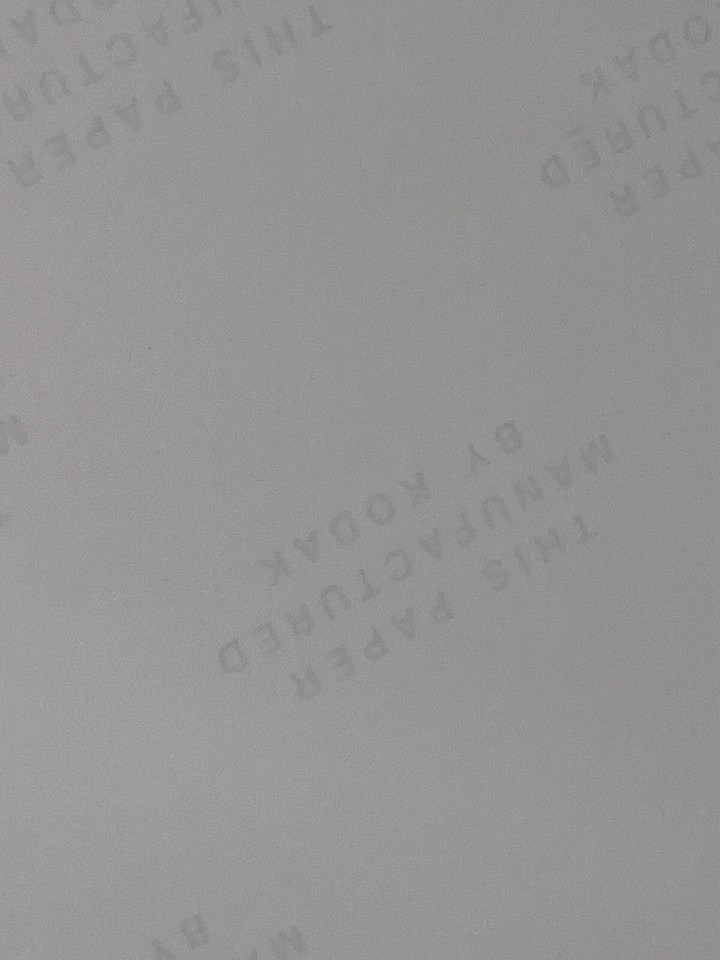 Bruce Springsteen Color Concert Photo 8X10 -Born In USA Kodak Paper ...