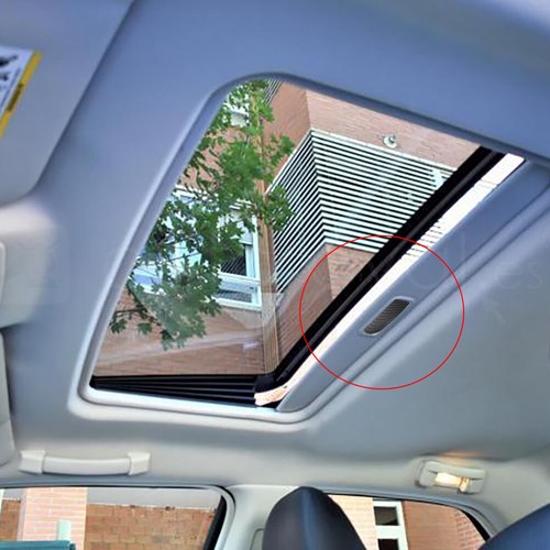 For Chrysler 300 2005-07 Carbon Fiber Car Sunroof Handle Panel Decor ...