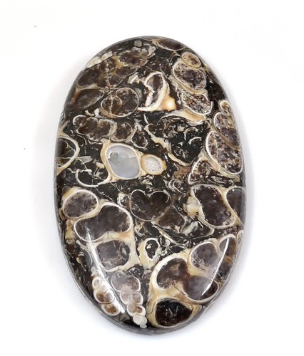 100% Natural Turtella Jasper Oval Cabochon 56X32 MM Hand Polish ...