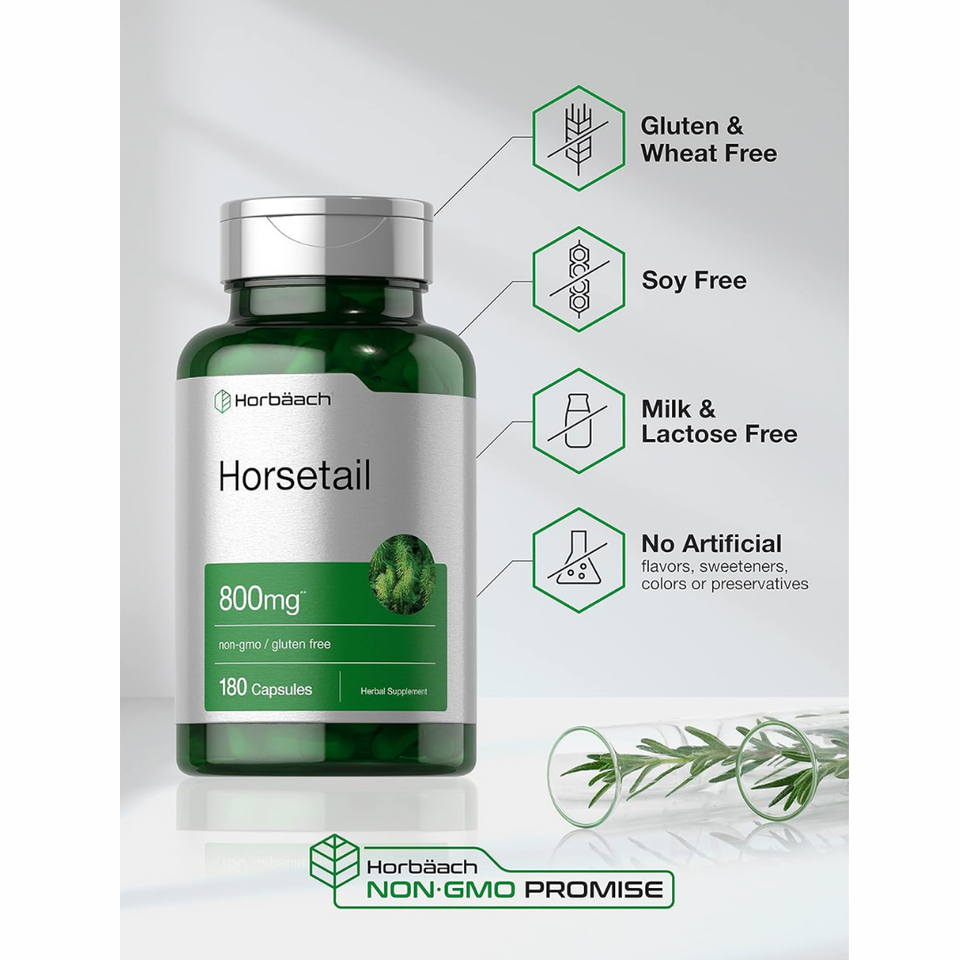 Horbaach Horsetail Herb Extract 800mg NonGmo Gluten Free Supplement 180 ...