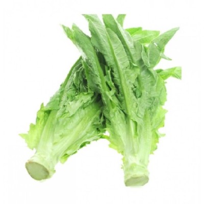1-OZ 20000 A-Choy / AA Cai seeds, Taiwanese Sword Leaf Lettuce AA菜 油麥菜 ...