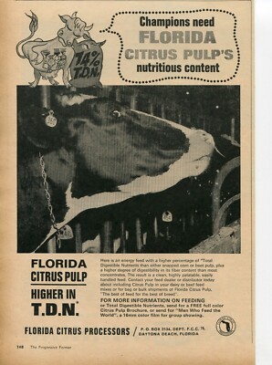 1968 Print Ad of Florida Citrus Processors Pulp Cow Cattle Feed TDN | eBay