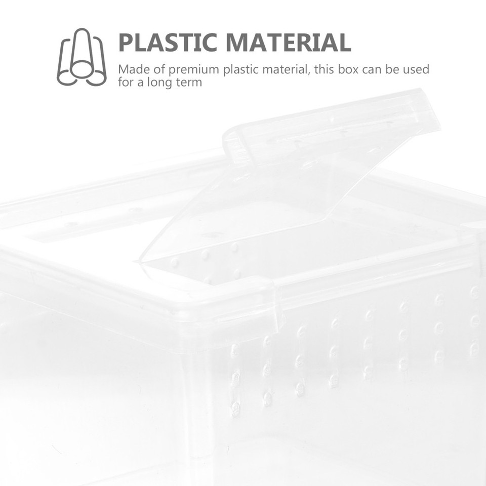 Insect Rearing Box Lizard Feeding Terrarium Reptile Transparent Large ...