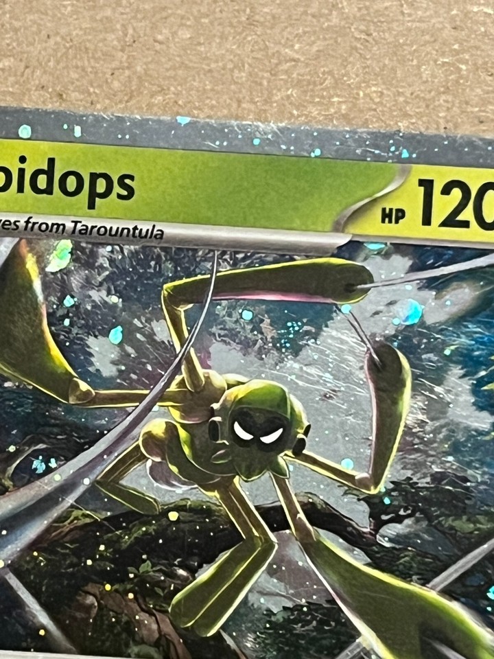 Spidops (009) Scarlet & Violet - Black Star - w/swirl? - LP - 2023 ...