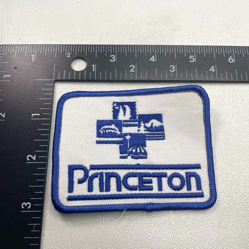 PRINCETON Patch 261B | eBay