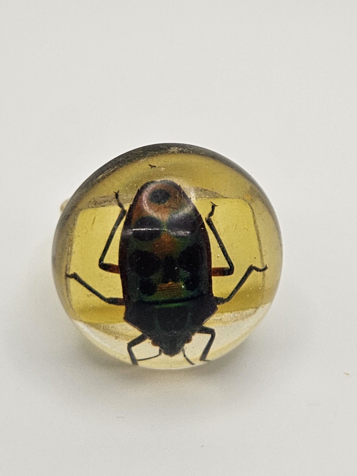 Vintage Clear Plastic Resin Real Bug Bettle Insect Ri… - Gem