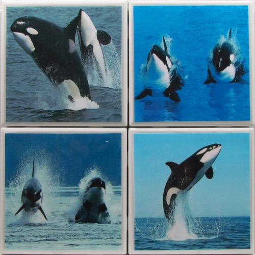 Ceramic Tile Coaster - Orca- Set of 4 (Buy Any 2 Sets - Get 1 Set Free ...