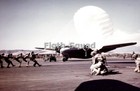 WW2 Picture Photo US Marine Paratroopers in Maneuvers 8346 | eBay