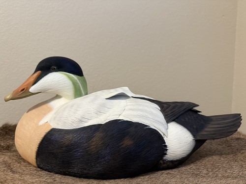 Ducks Unlimited Common Eider Drake Full Size Decoy by Jett Brunet NIB ...