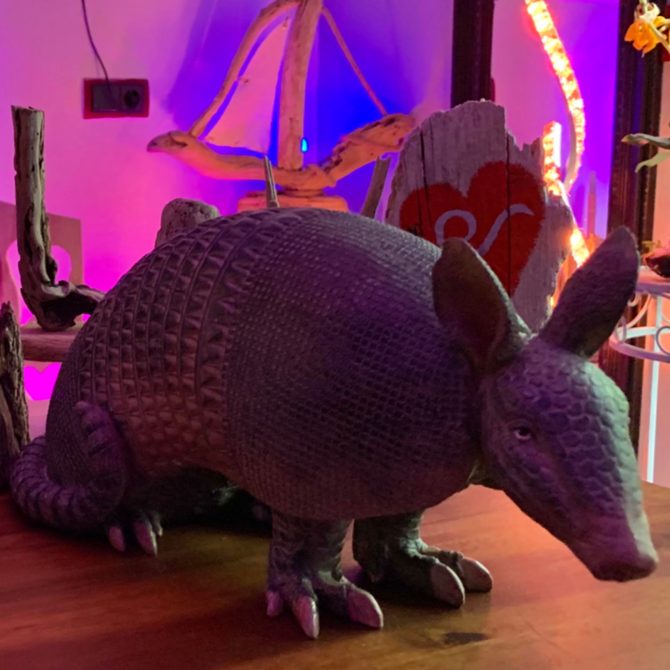 Lifelike Armadillo Garden Statue Sculpture Art Home Yard Patio Decor ...