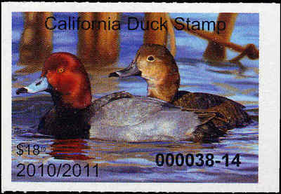 CALIFORNIA #40 2010 STATE DUCK REDHEAD by Timothy Taylor | eBay