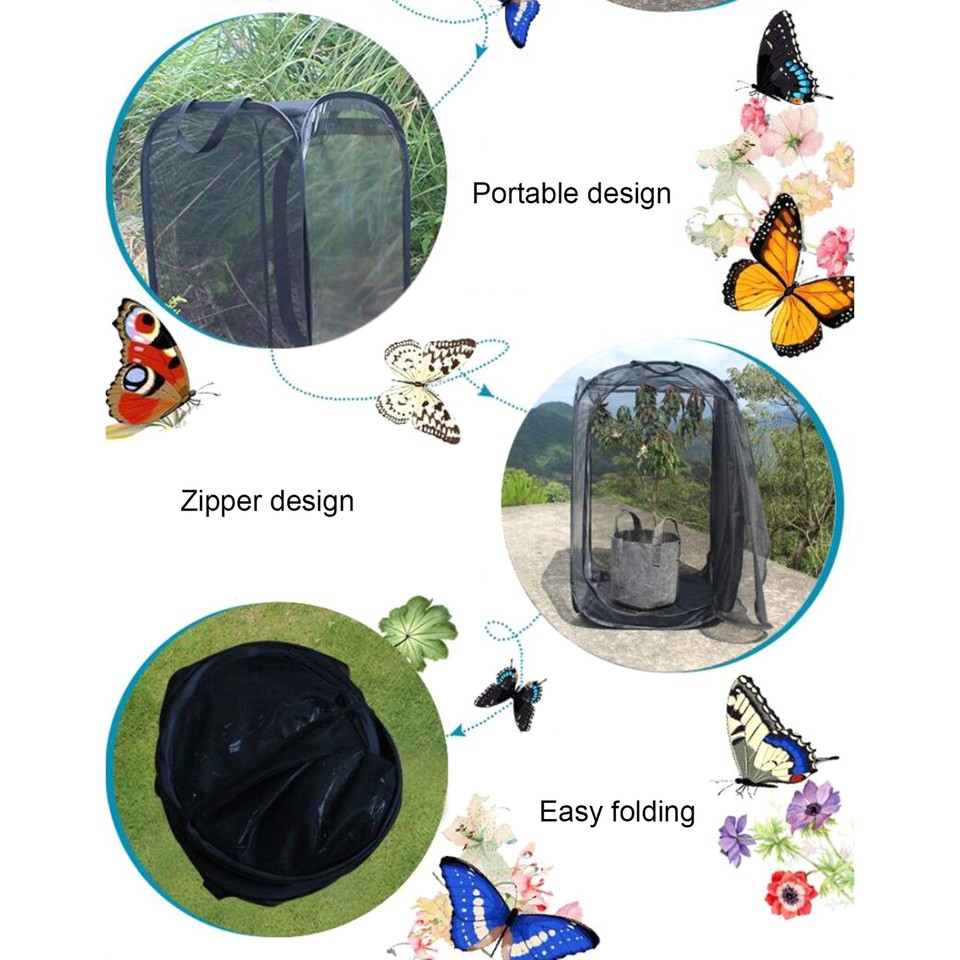 Mantis Stick Small Insect Butterfly Plant Cage Foldable Pop-up ...