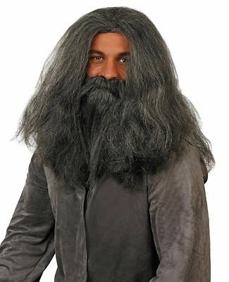 Men`s Grey Hagrid Wizard Wig & Beard Set for Adult Fancy Dress Costume ...