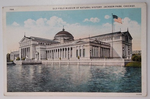 Illinois Postcard Early 1900s Rare Chicago Jackson Park Field Museum ...