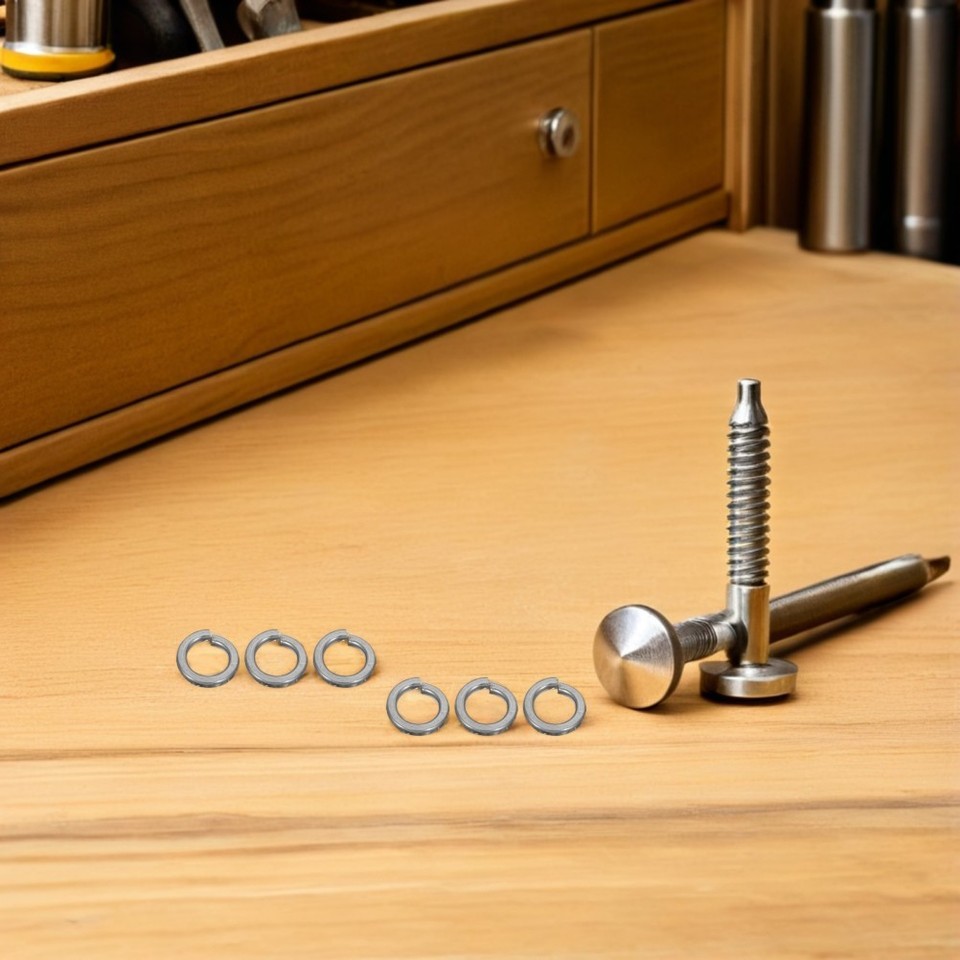 100 Pcs Stainless Steel Spring Gasket Assortment Kit Large Lock Washers ...