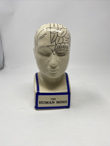 The Human Mind Ceramic Phrenology Brain Map Diagram Head Bank EUC | eBay