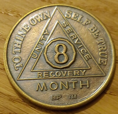 8 Months Alcoholics Anonymous AA Bronze Medallion Coin Sobriety Chip ...