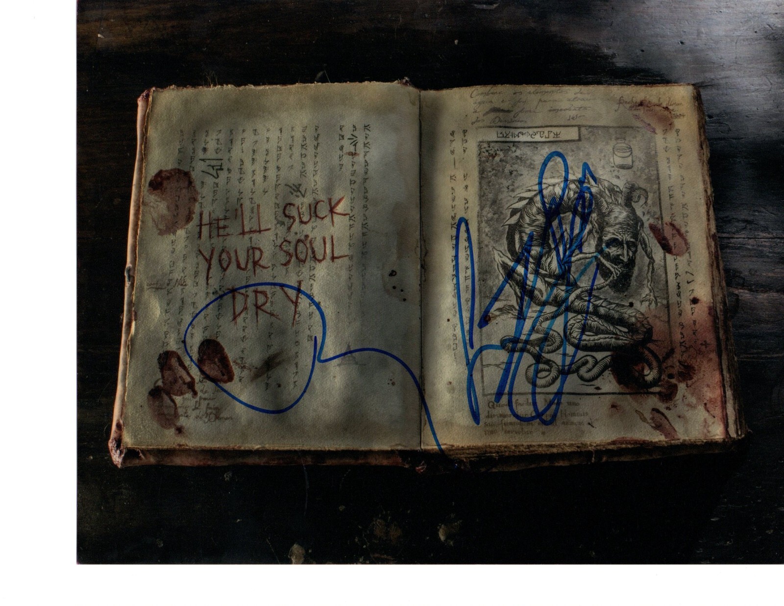 Jane Levy & Lou Taylor Pucci Evil Dead Signed 8"x10" Autograph Photo | eBay