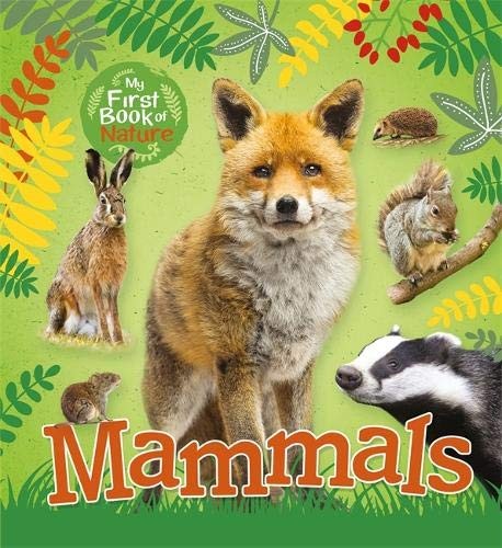 My First Book of Nature Mammals By Munson, Victoria Victoria Mun | eBay
