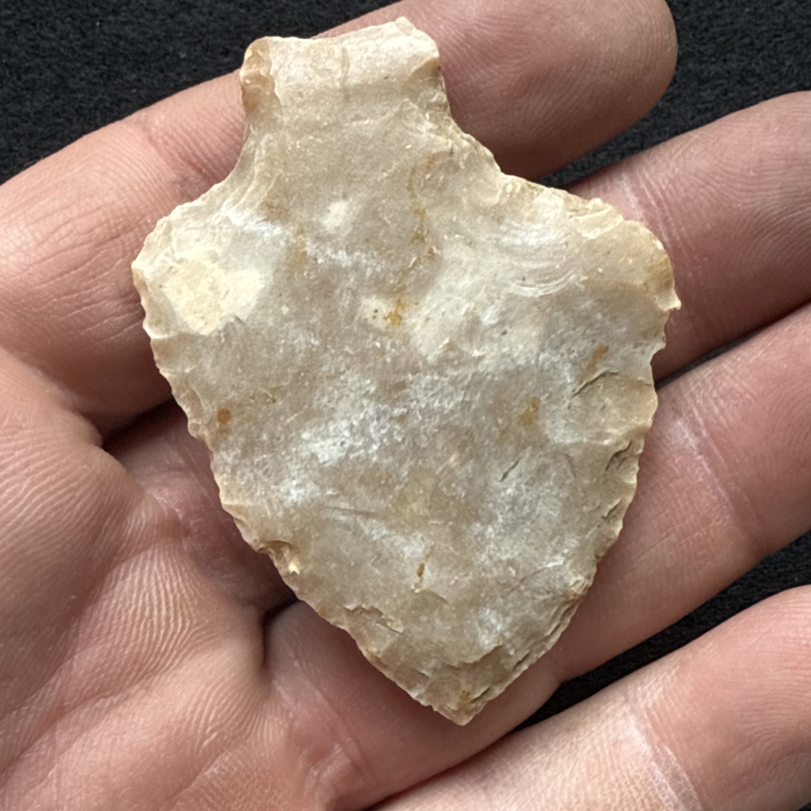 Indian Arrowhead Translucent Fossil Coral Found In Holmes Co Florida ...