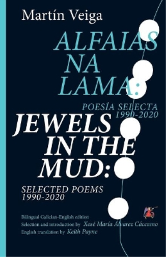 Martín Veiga Jewels in the Mud (Paperback) Small Stations Poetry (UK ...