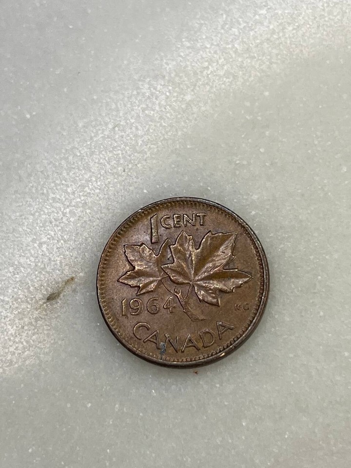 1964 Canadian 1-Cent Maple Leaf Penny - Vintage Circulated Copper Coin ...