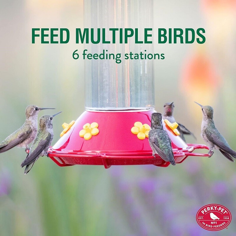 Hummingbird Feeder 30 oz Red Plastic with Perches Built-In Ant Moat Bee ...