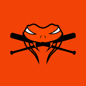 Copperhead Cards and Memorabilia | eBay Stores