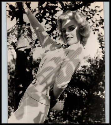 Hollywood Beauty BARBARA LANG LEGGY CHEESECAKE 1950s PORTRAIT Photo 705 ...