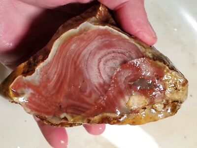 Pink Royal Jasper Rough Chunk Orbicular Mexico Jasper 572g Lapidary ...